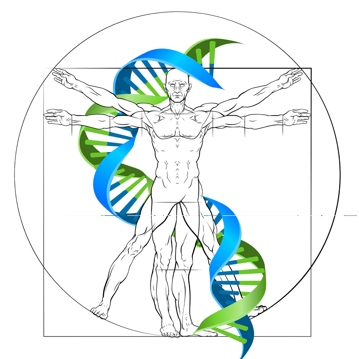 10 Tips for a Healthy Immune System (part four) - Mushroom Wisdom Inc.